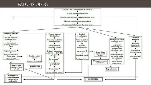 Ilmu Penyakit Disentri | PPTX