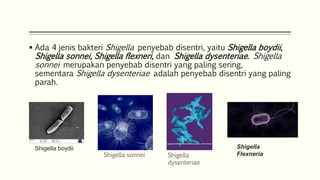 Ilmu Penyakit Disentri | PPTX