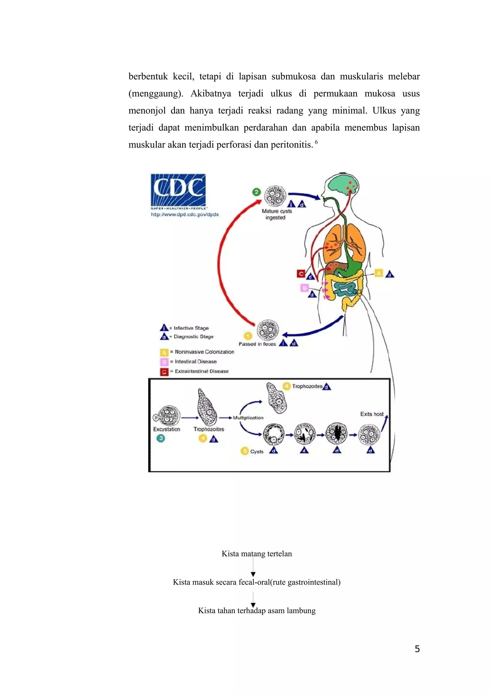 Disentri amoeba | PDF