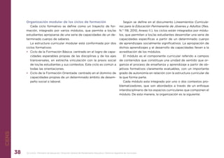 Diseño Curricular Modular para Educación Permanente de Jóvenes y ...