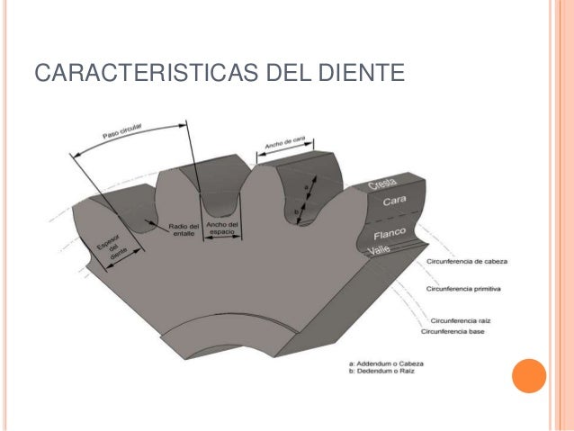 Diseño de engranajes de dientes rectos