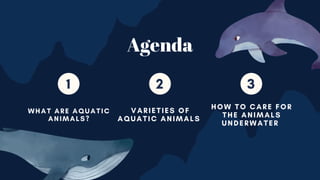 Aquatic animals: wonders of the underworld | PDF