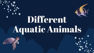 Aquatic animals: wonders of the underworld | PDF