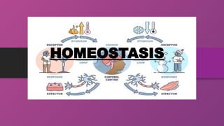 DISERTACIÓN DE HOMEOSTASIS equilibrio del medio interno | PPTX