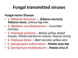viral disease transfer and vector | PPT | Free Download