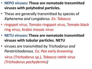 viral disease transfer and vector | PPT