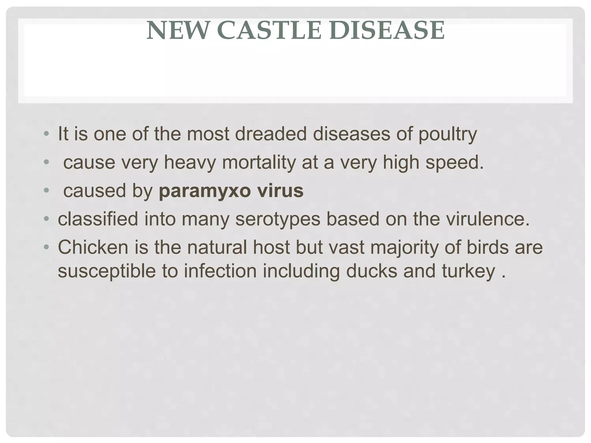 Common Poultry diseases and vaccination | PPTX