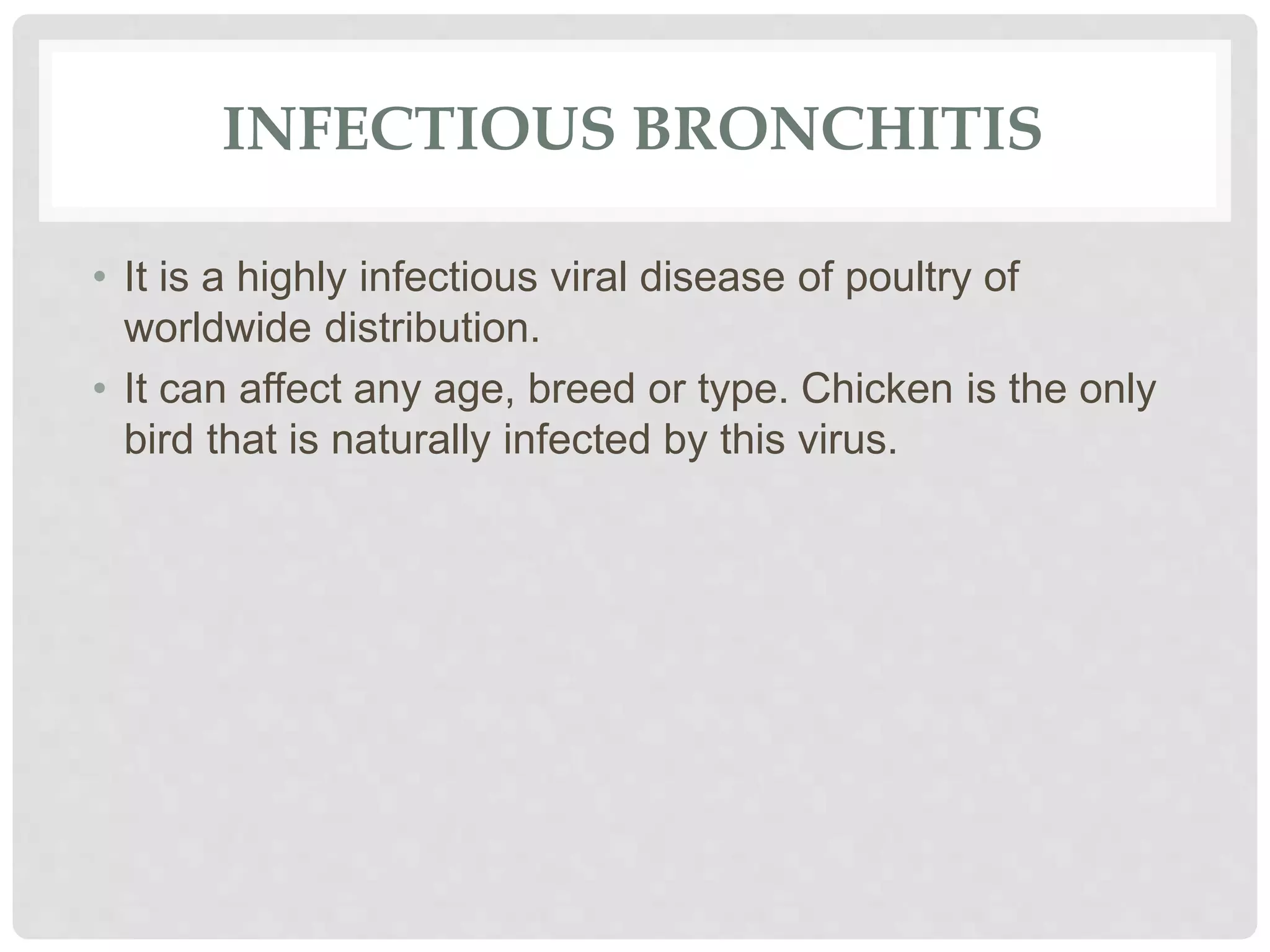Common Poultry diseases and vaccination | PPTX
