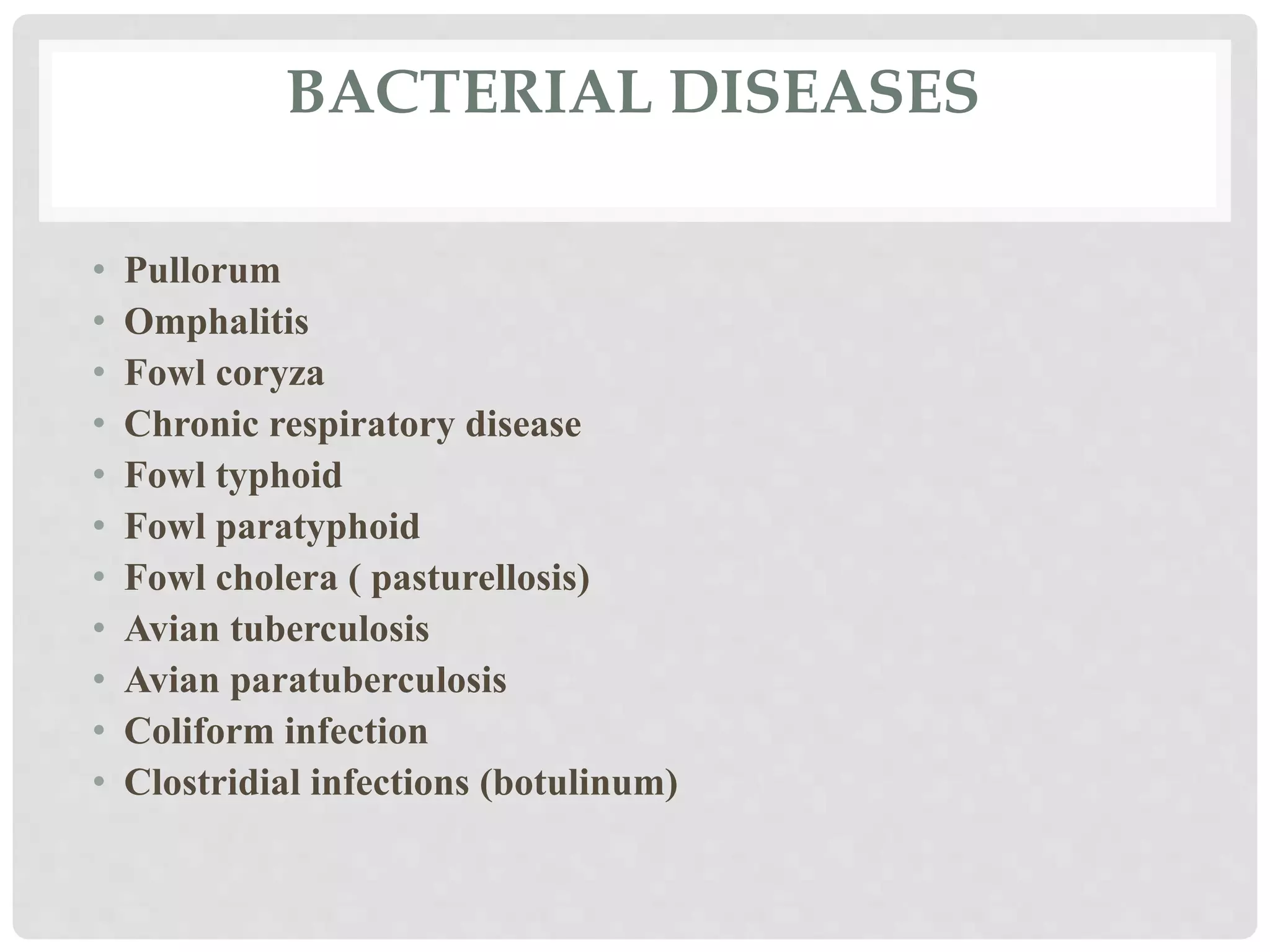 Common Poultry diseases and vaccination | PPTX