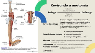 Disfagia - Semiologia UNINTA ITAPIPOCA CE | PPT