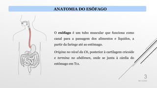 DISFAGIA TRABALHO CLINICA CIRURGICA.pptx