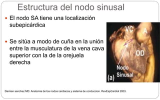 Disfunción del nodo sinusal.pptx