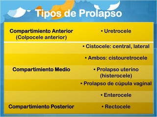 Disfunción Del Piso Pélvico | PPTX