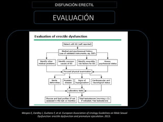 Disfunción erectil | PPTX
