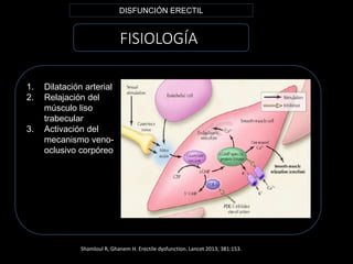 Disfunción erectil | PPTX
