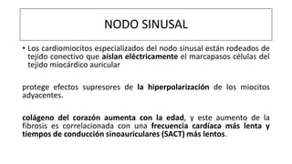 DR.MAICOL AUGUSTO CORTEZ SANDOVAL/Disfuncion del nodo sinusal | PDF