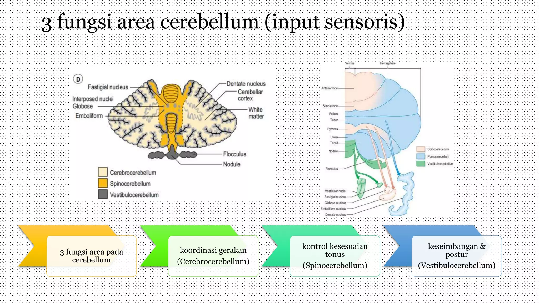 Disfungsi Cerebellum.pptx