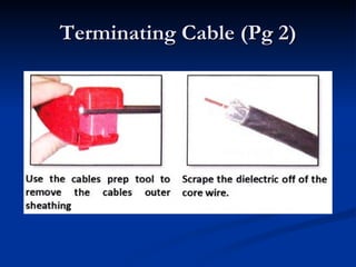 Dish4You Cables and Connectors | PPT
