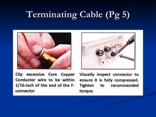 Dish4You Cables and Connectors | PPT