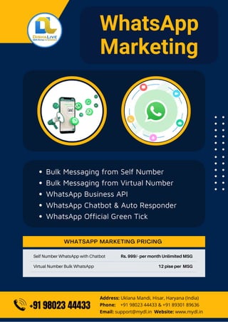 DishaLive Web Design and Solutions, Uklana Mandi, Hisar, Haryana - Best ...