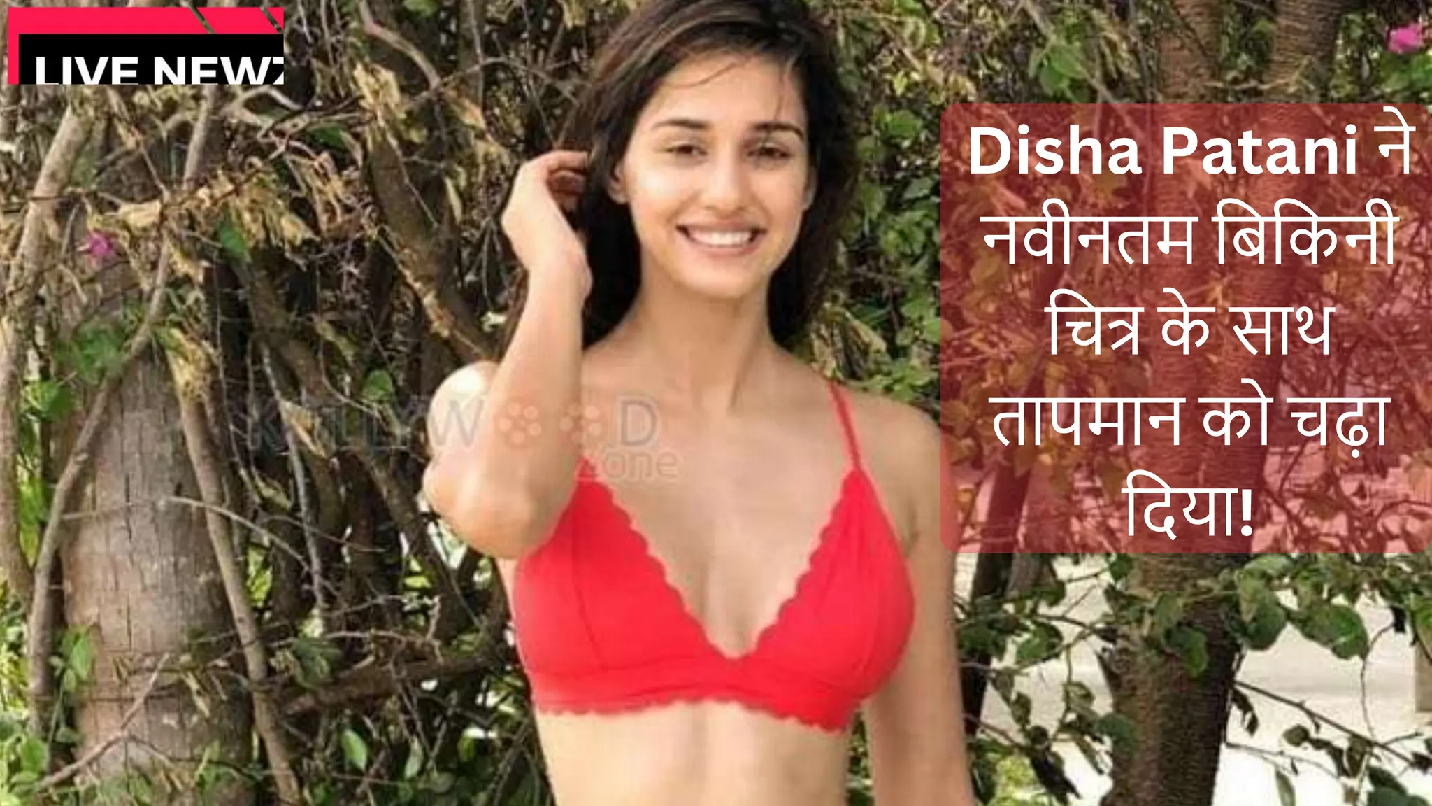Disha Patani ने बिकिनी फोटो में धमाल मचा दिया! | PPTX