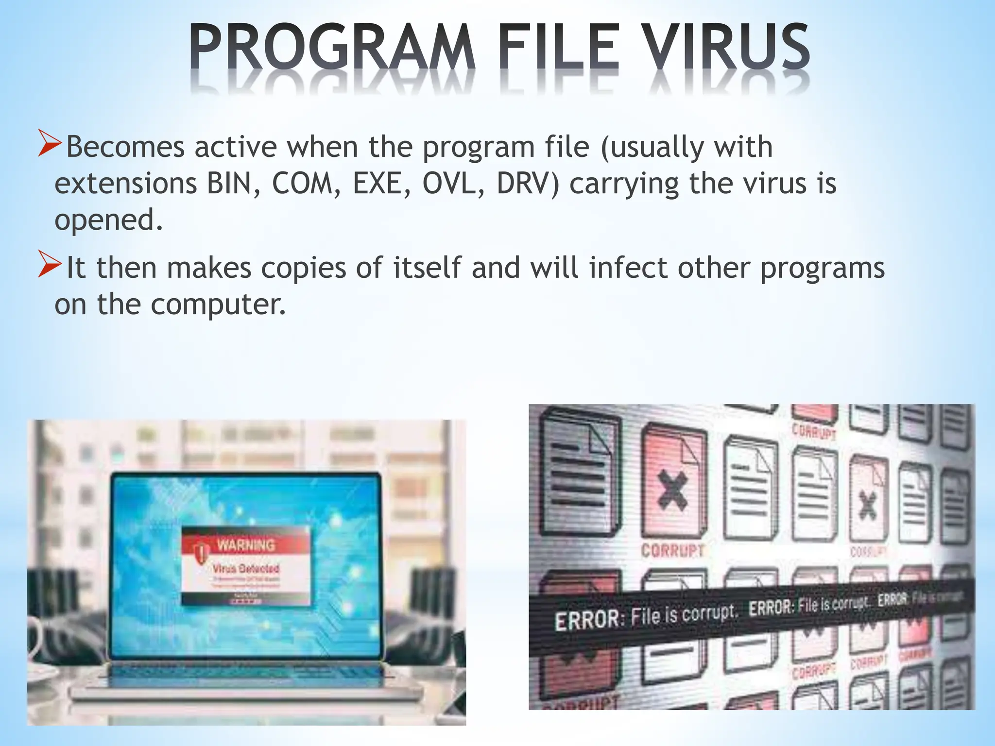 DISHA PATEL COMPUTER VIRUS PPT.pptx | Operating Systems | Computer ...
