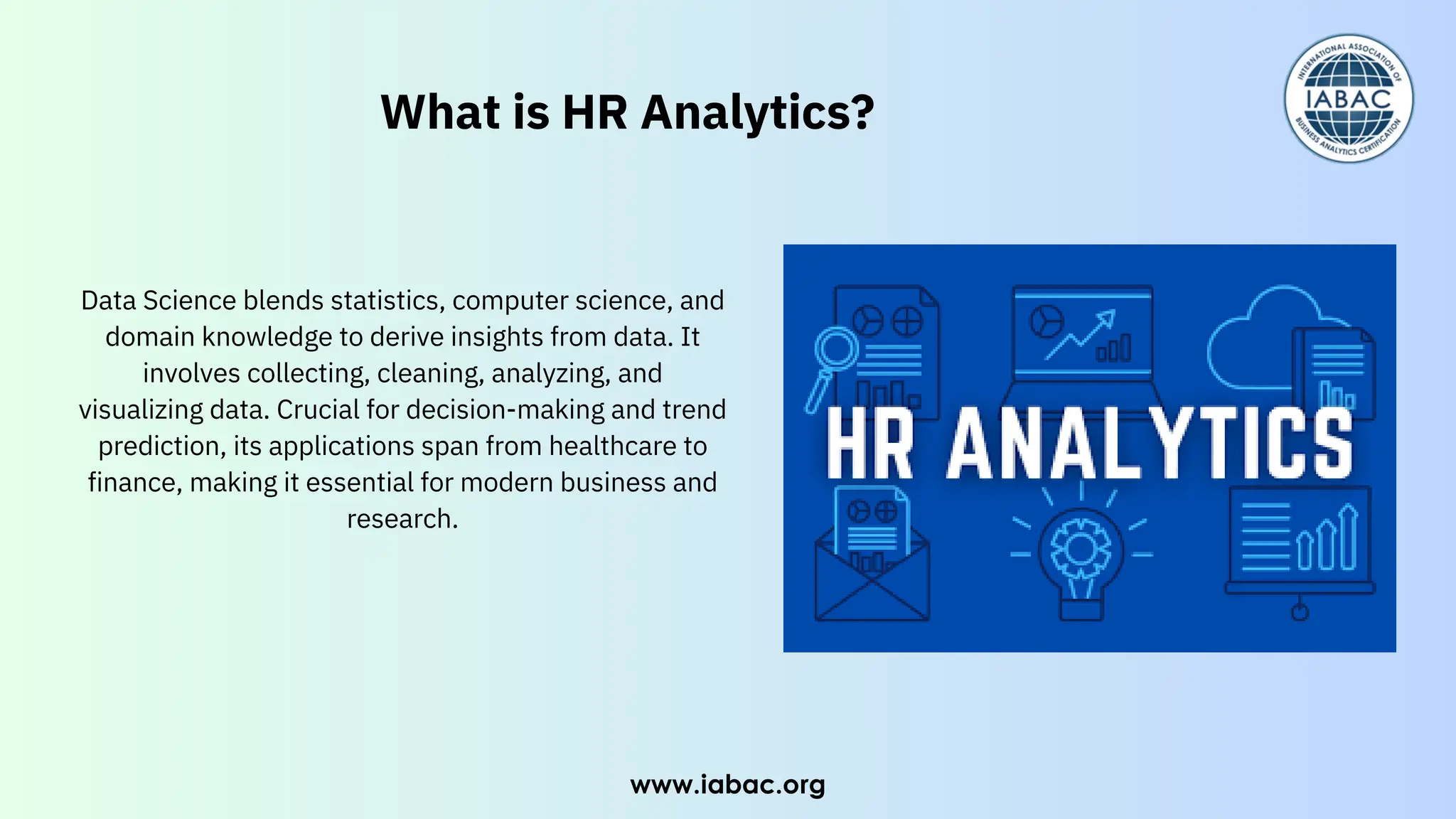 Excellence with HR Analytics Certification | IABAC | PDF | Databases ...