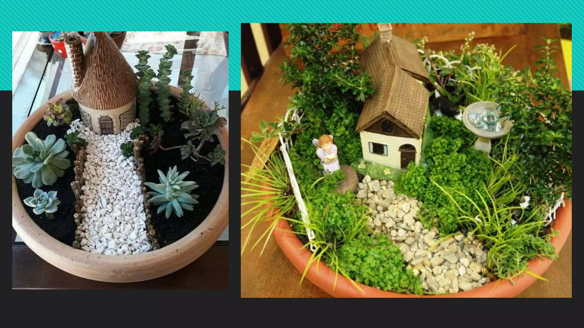 Dish garden | PPTX