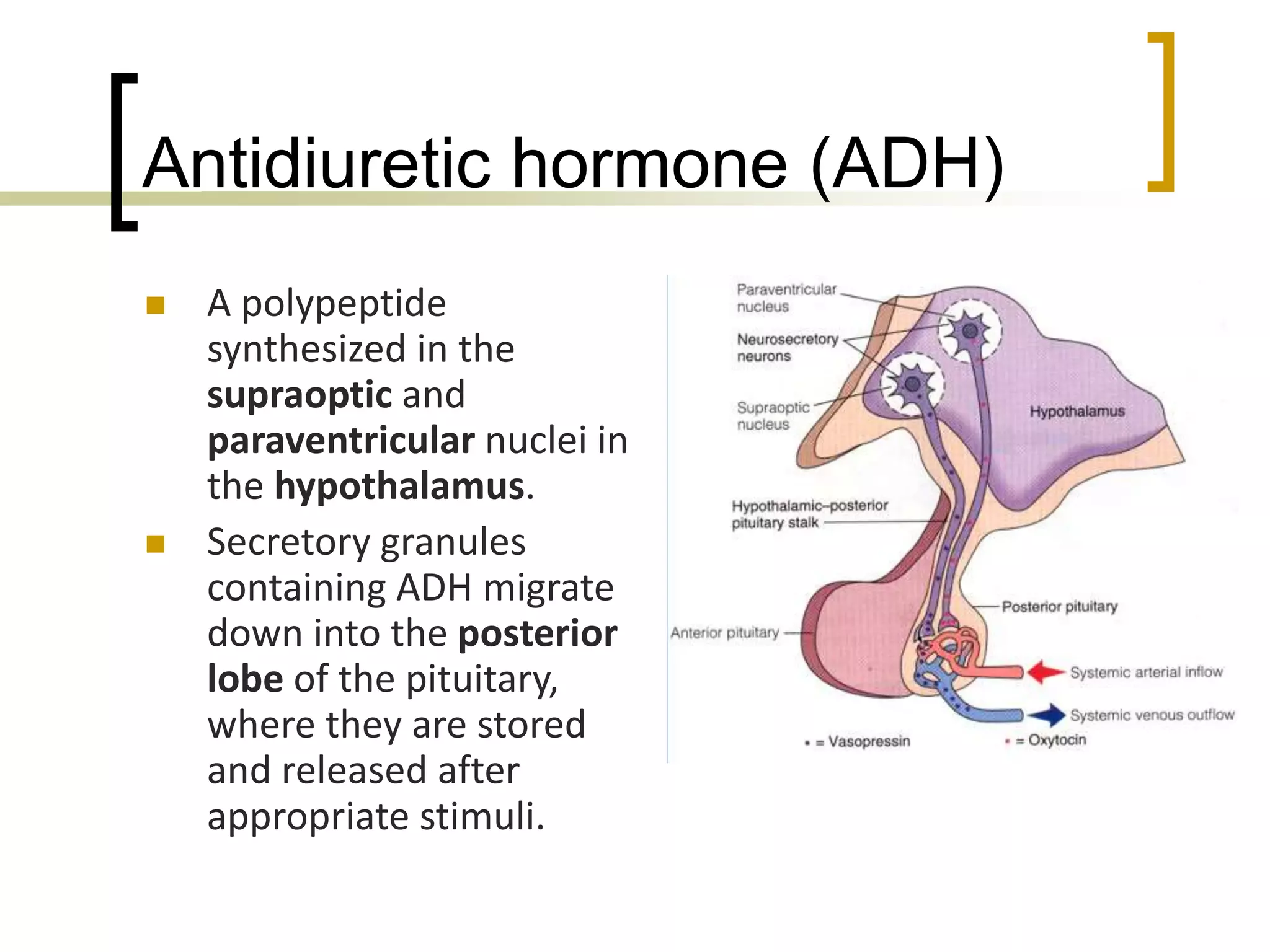 Di, siadh and cerebral salt wasting syndrome | PPT