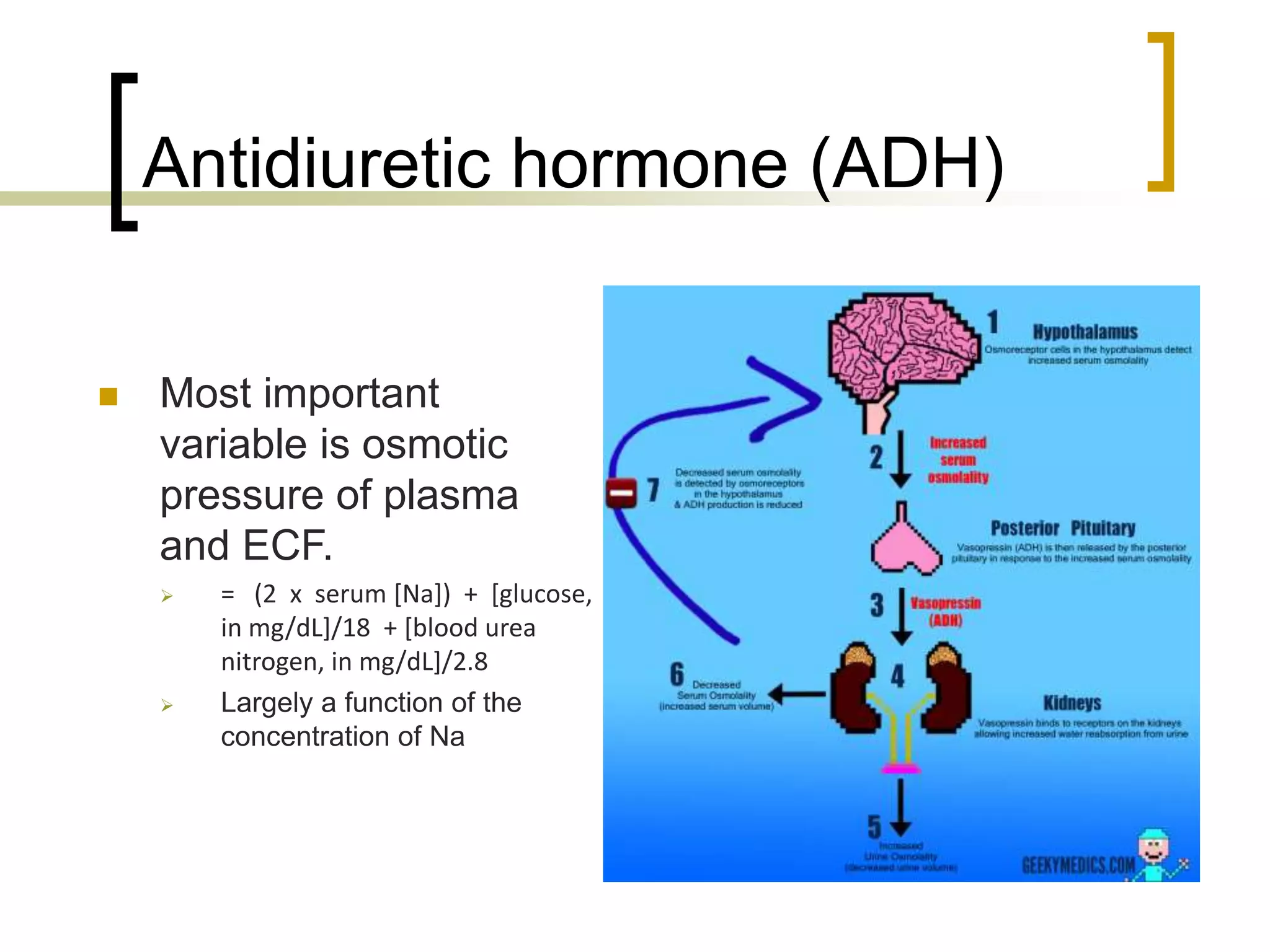 Di, siadh and cerebral salt wasting syndrome | PPT
