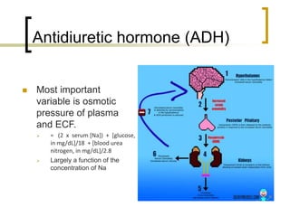 Di, siadh and cerebral salt wasting syndrome | PPT