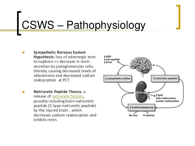 Di, siadh and cerebral salt wasting syndrome