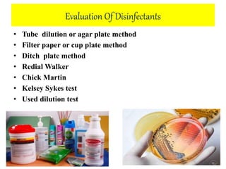 Disinfectant classification and evaluation | PPT