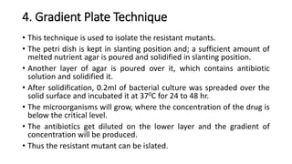 Disinfectants | PPTX