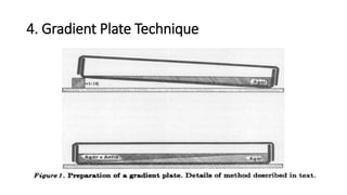 Disinfectants | PPTX