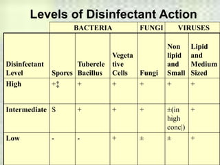 disinfection.ppt