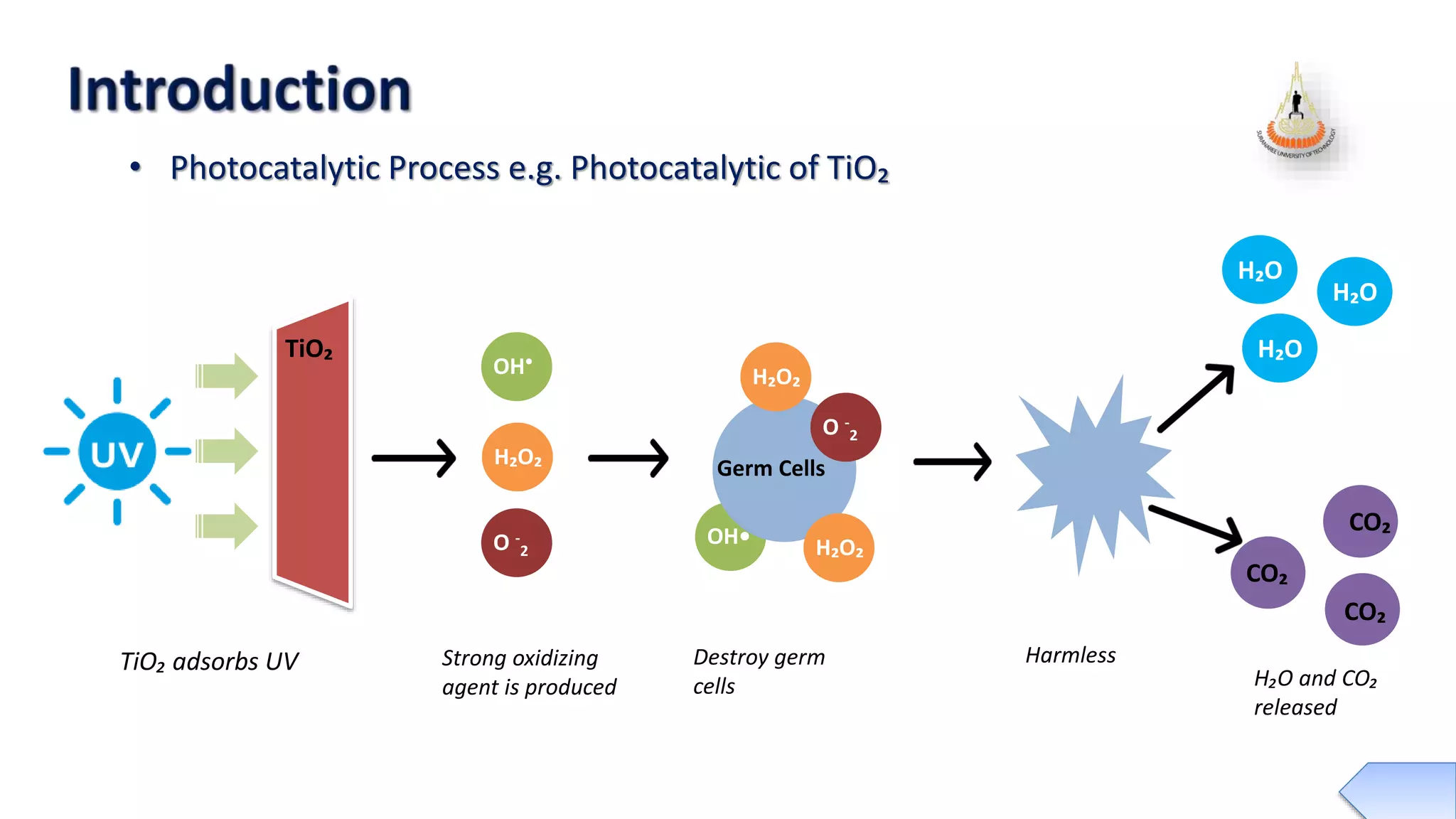 Disinfection of E.coli using Photocatalytic Sterilization of TiO2 and ...