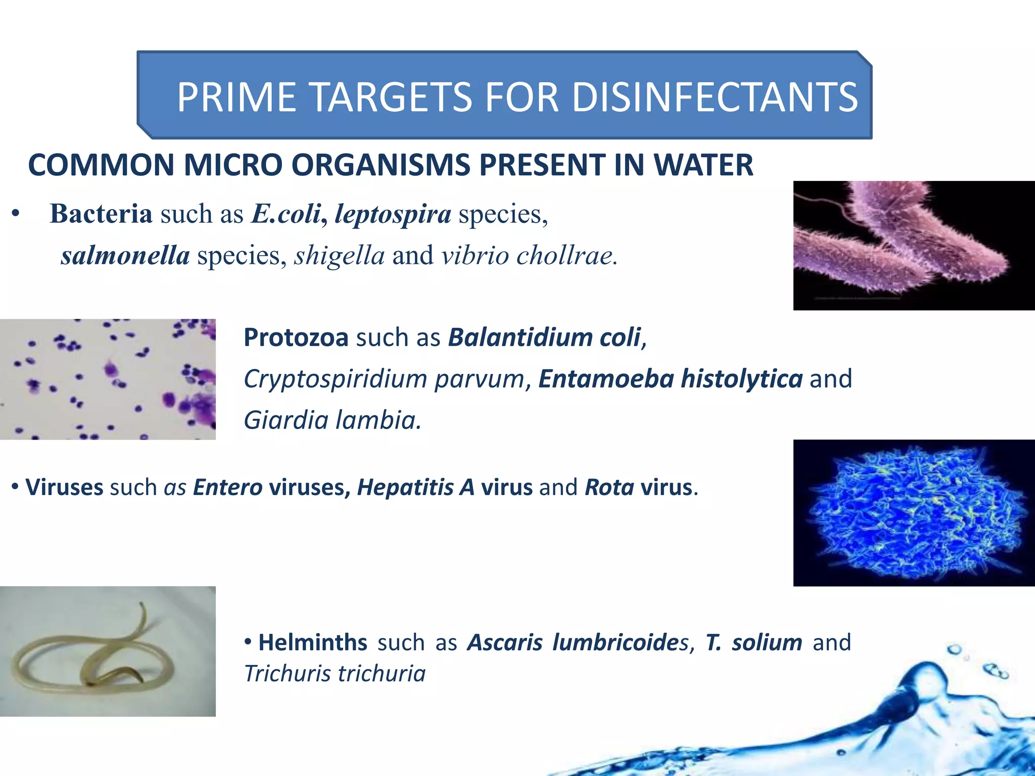 Disinfection of water | PPTX