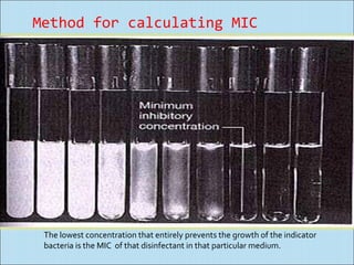 Disinfection testing for disinfection | PPT