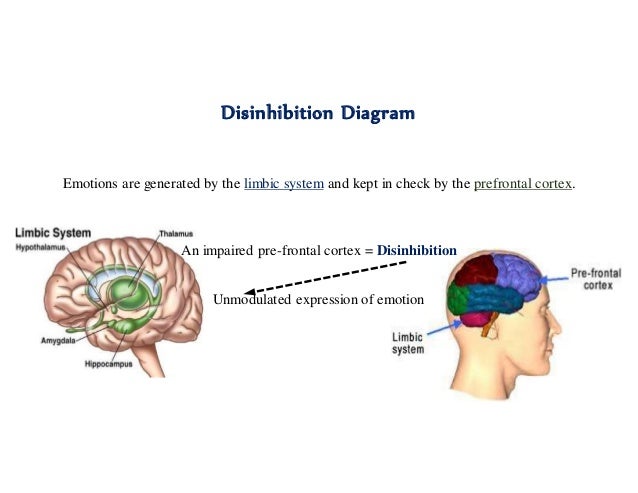 Disinhibition Diagram