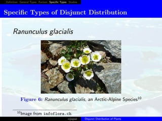 Disjunct Distribution of Plants | PDF