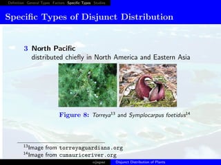 Disjunct Distribution of Plants | PDF