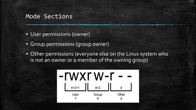 Disk and File System Management in Linux | PPTX