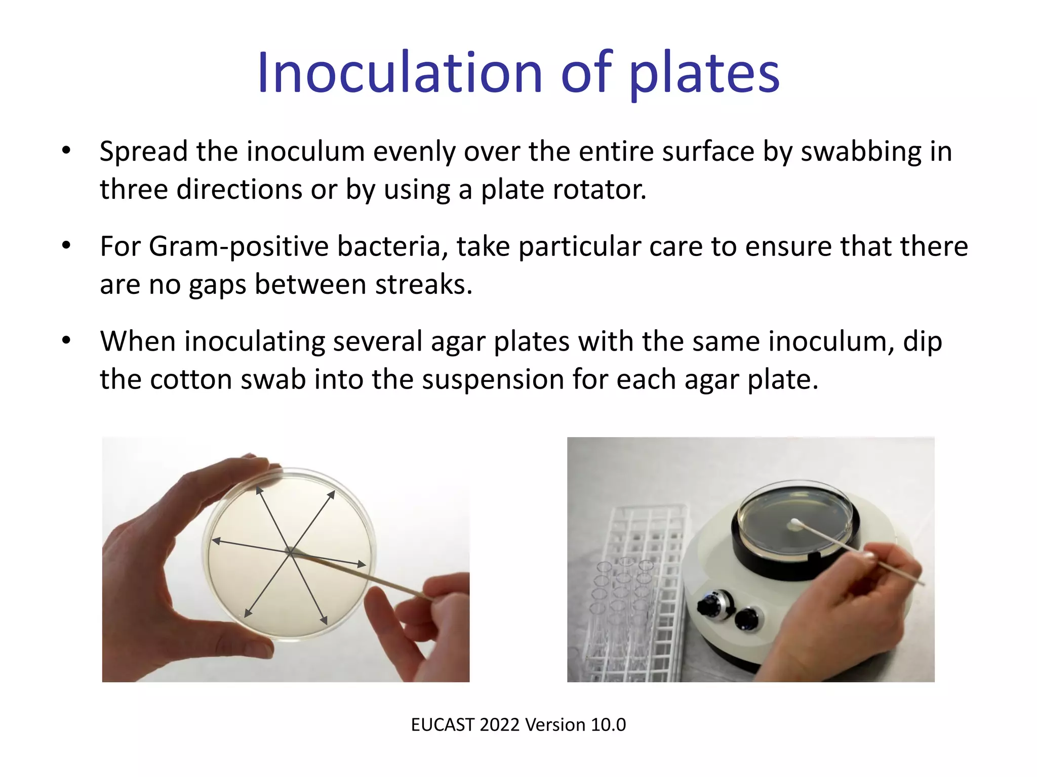 EUCAST disk diffusion method | PDF