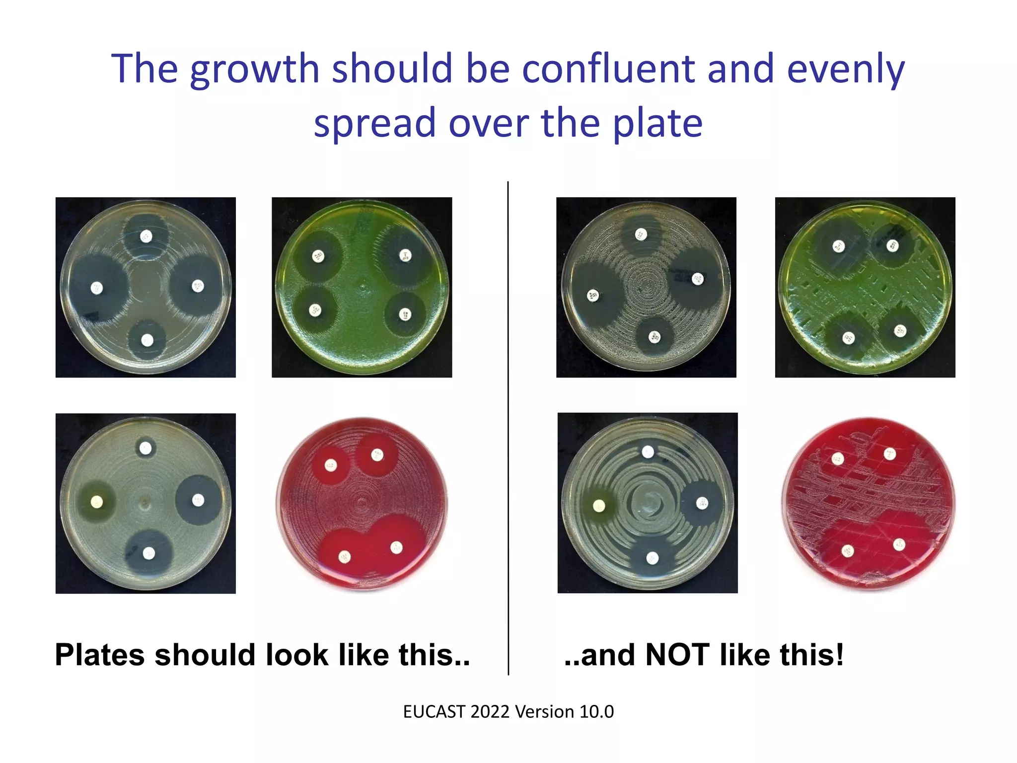 EUCAST disk diffusion method | PDF