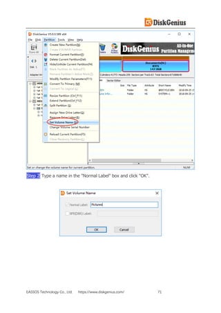 DiskGenius User Guide | PDF