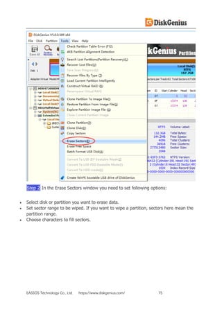 DiskGenius User Guide | PDF
