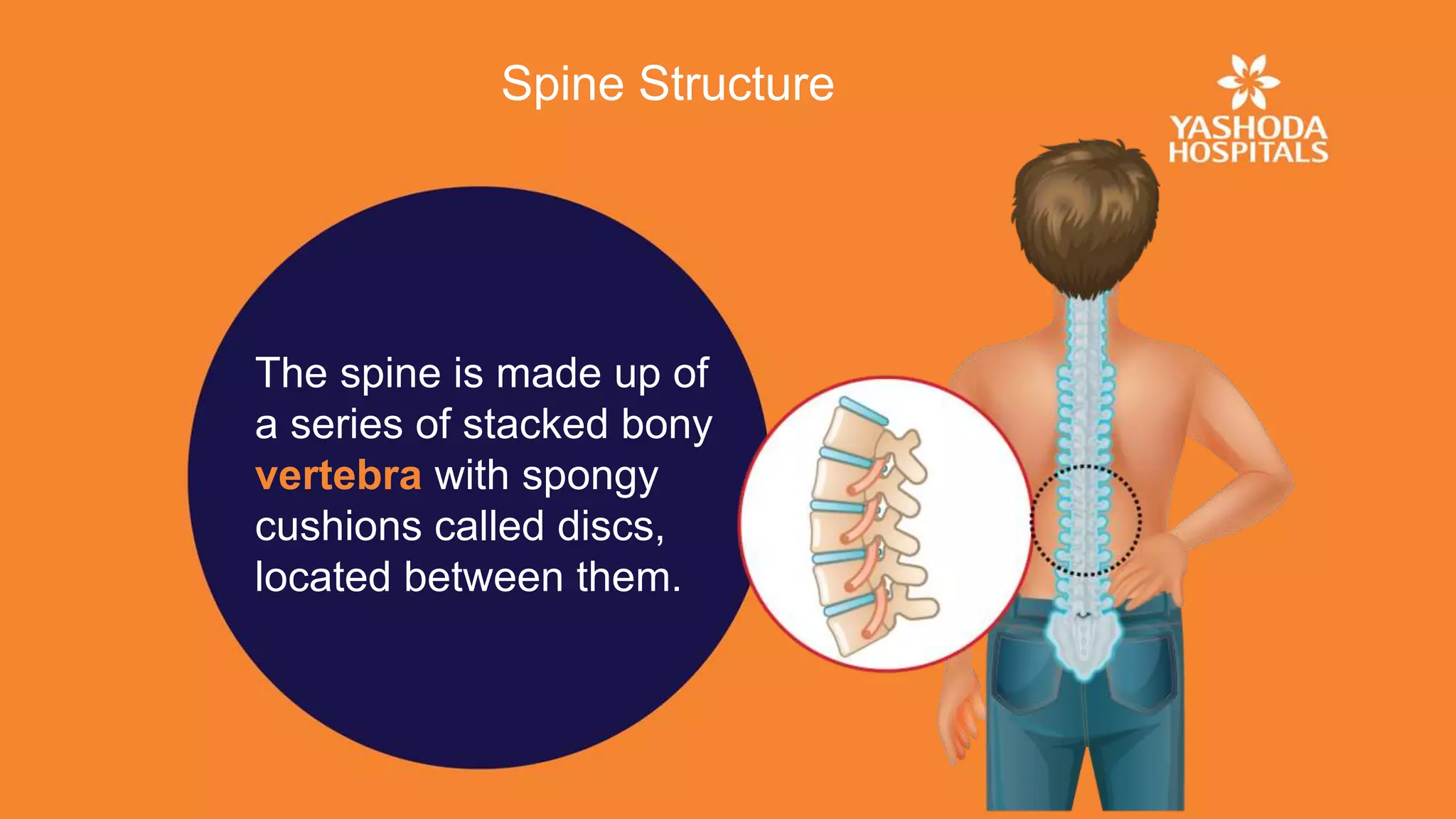 Spine Disc Surgeries - Discectomy and Decompression | PPTX