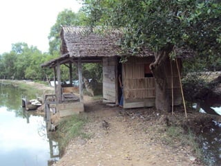 Diskusi kolam | PPTX