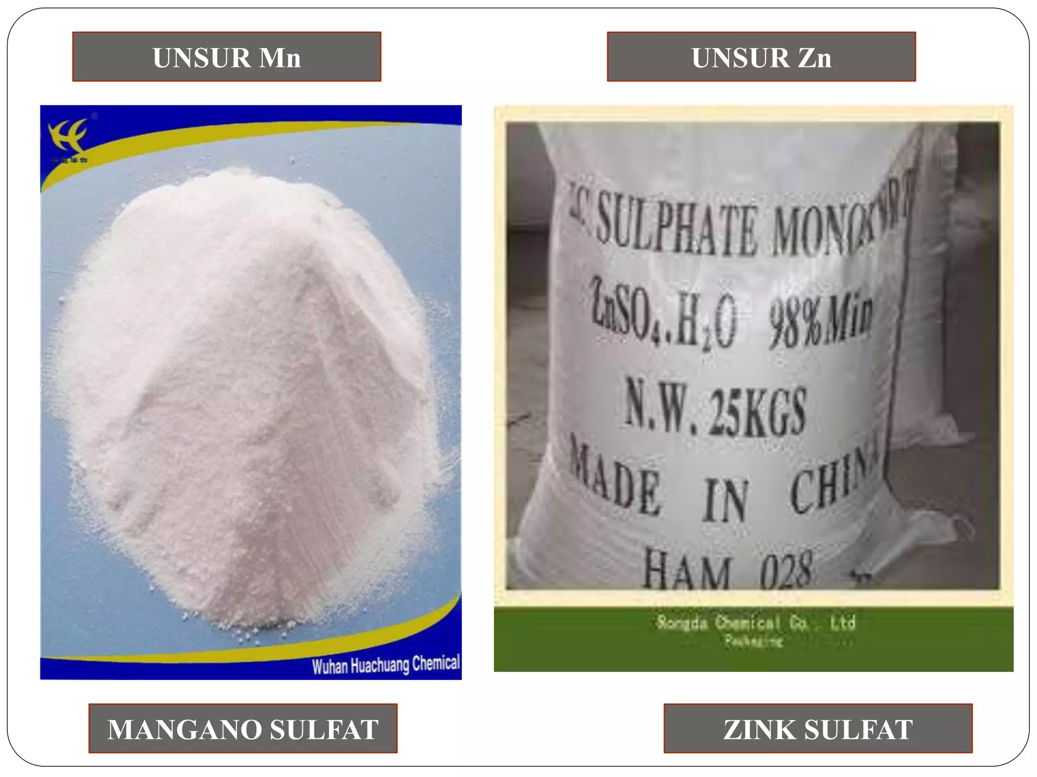 Diskusi panel praktikum kesuburan dan kesehatan tanah | PPTX